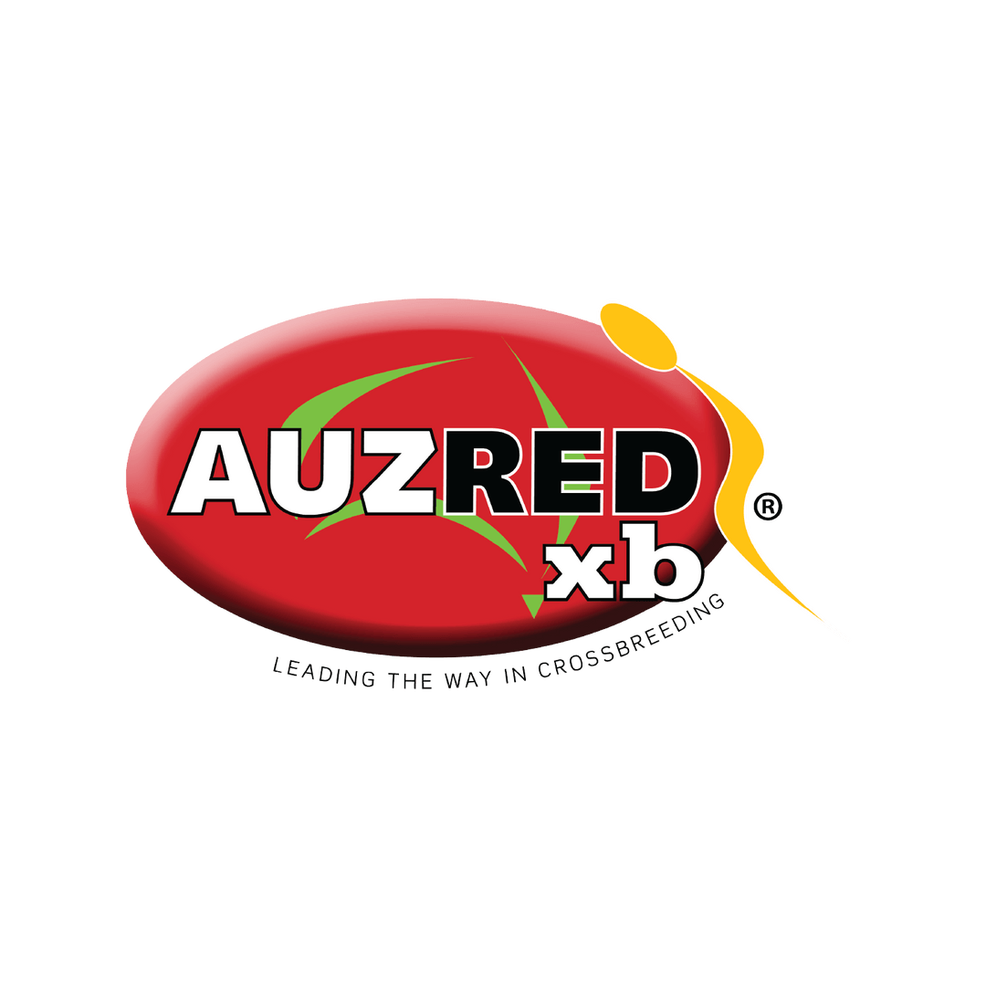 Samen NZ - Dairy Genetic Solutions, The Future of Efficiency