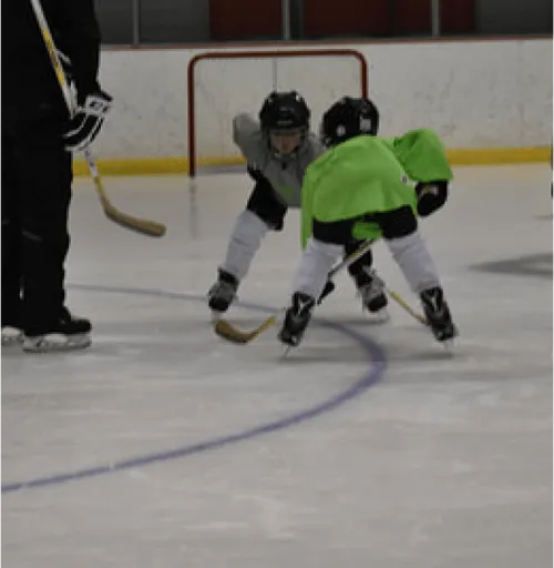 Igloo Ice Rink - Arena Overview