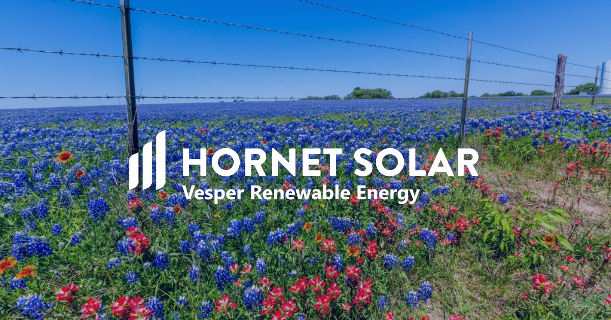 Home | Hornet Solar
