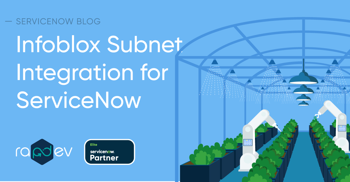 Mastering IP Address Management by Evan Guby | RapDev Blog