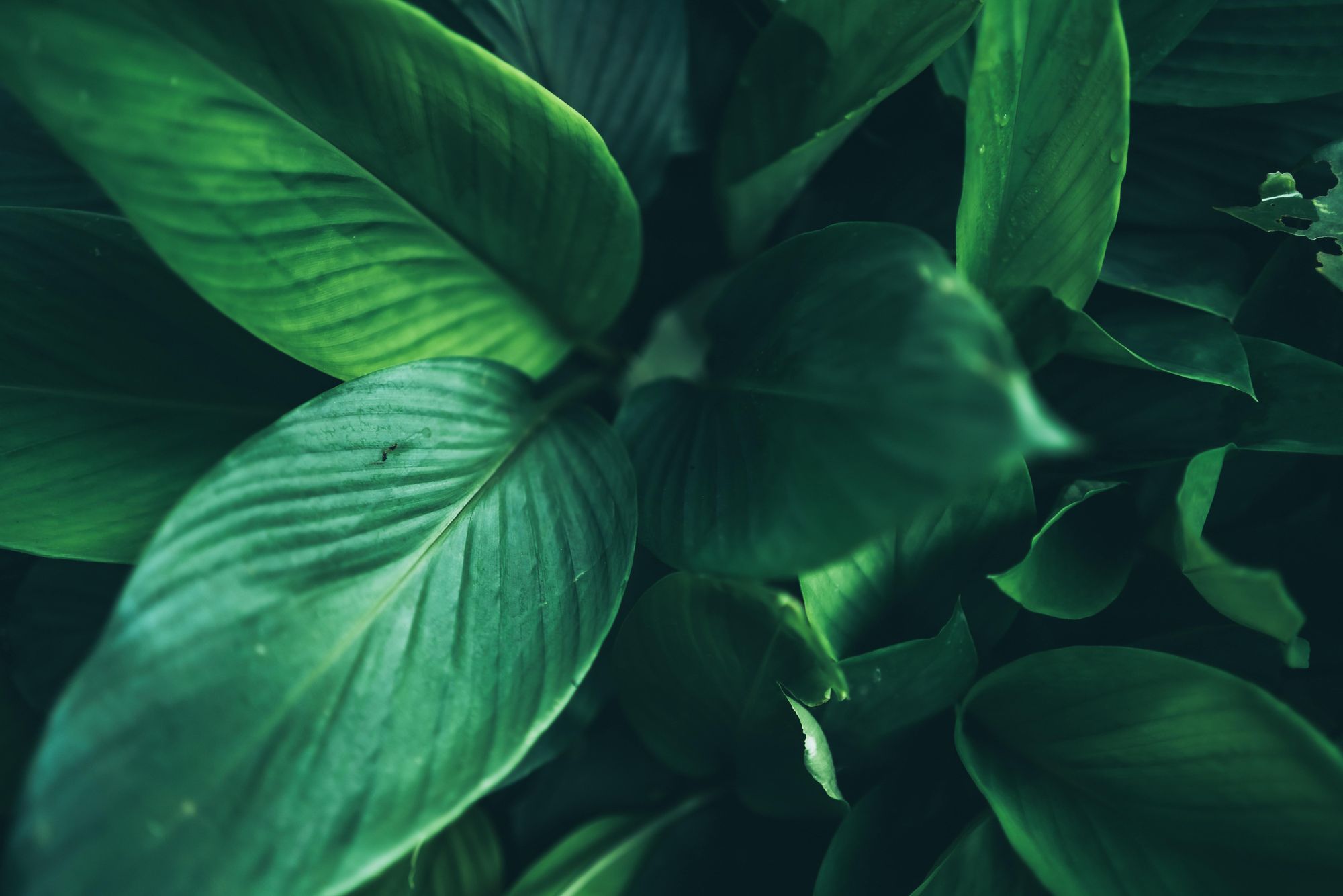 Duventus | Transformando tu ambiente