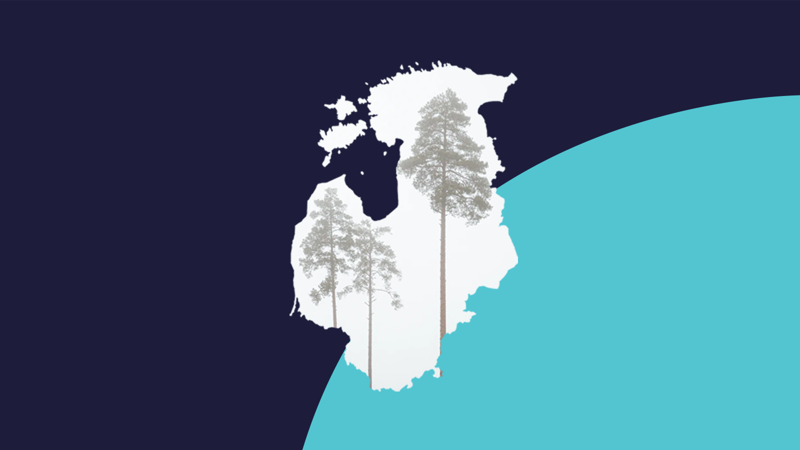 The 30 Hottest Startups in the Baltics | Cledara