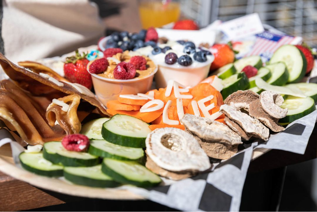 Dog Yard Bar | Downtown Dog Lounge