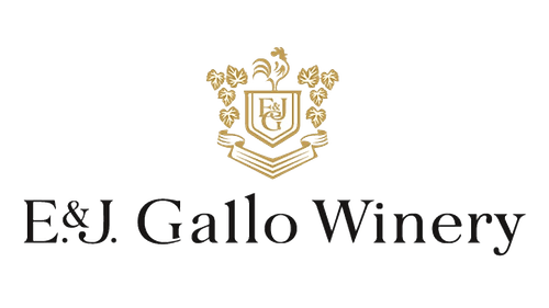 Cogent Infotech | Home