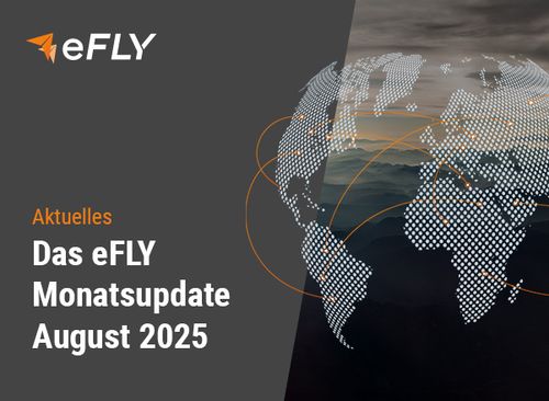 eFLY Full Service Amazon- & Marktplatz Marketing Agentur