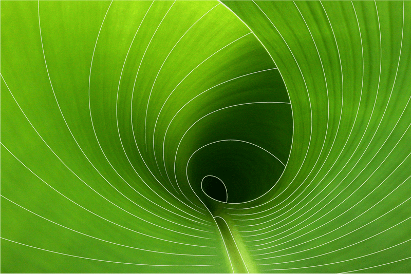 Natcap | The simple way to measure, report and act on nature-risk