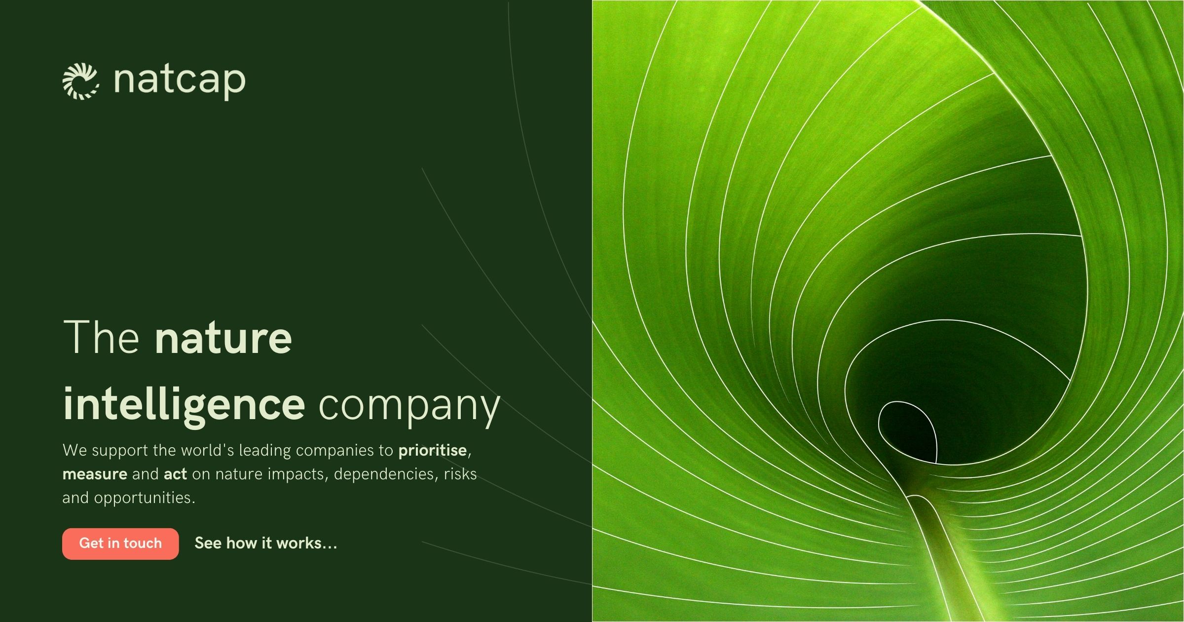 natcap — the nature intelligence company