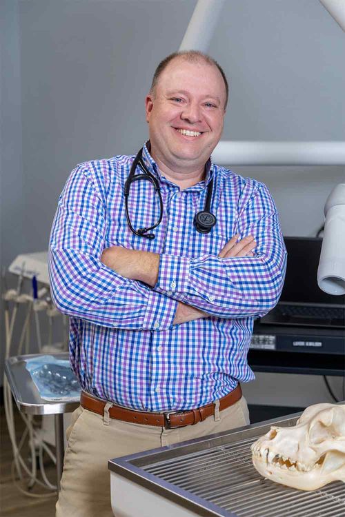 High-Quality Vet Hospital in Fort Collins, CO | Harmony Road Veterinary ...