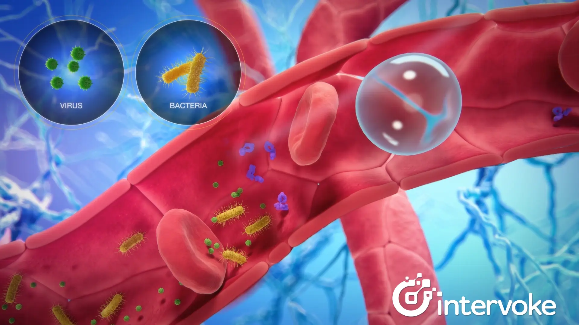 INTERVOKE: Medical Animation Studio
