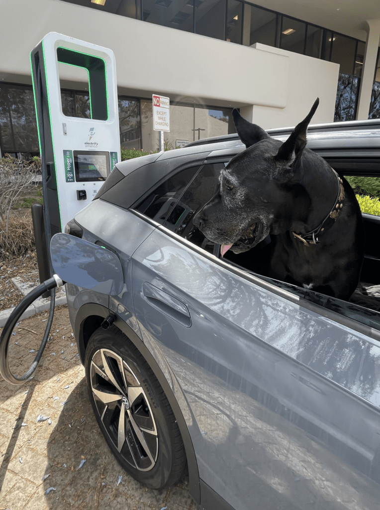 Foxes in the wild | EV experience in California | Chargefox