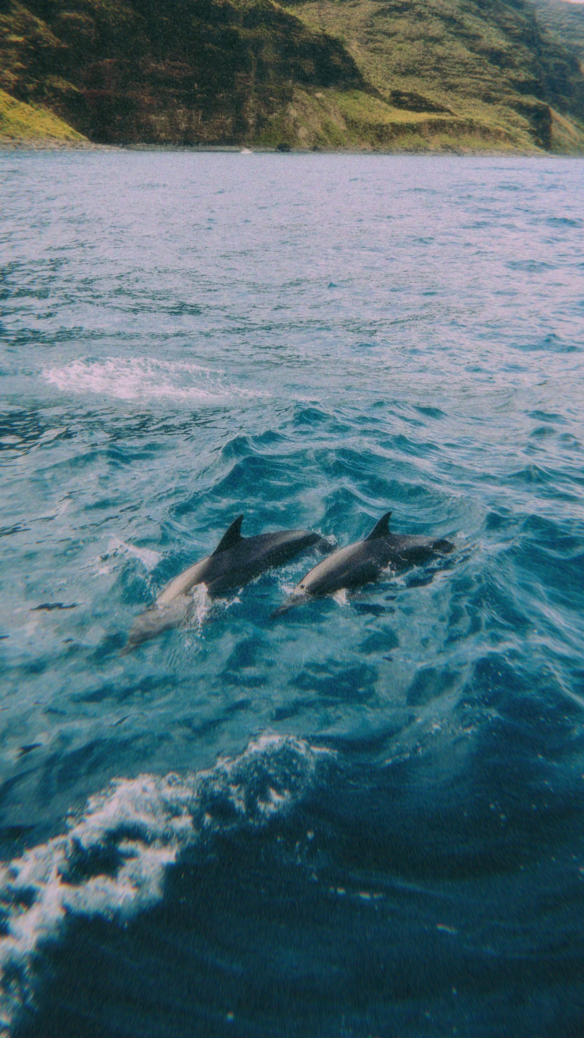 Afterlight Photo Editor for iOS & Android