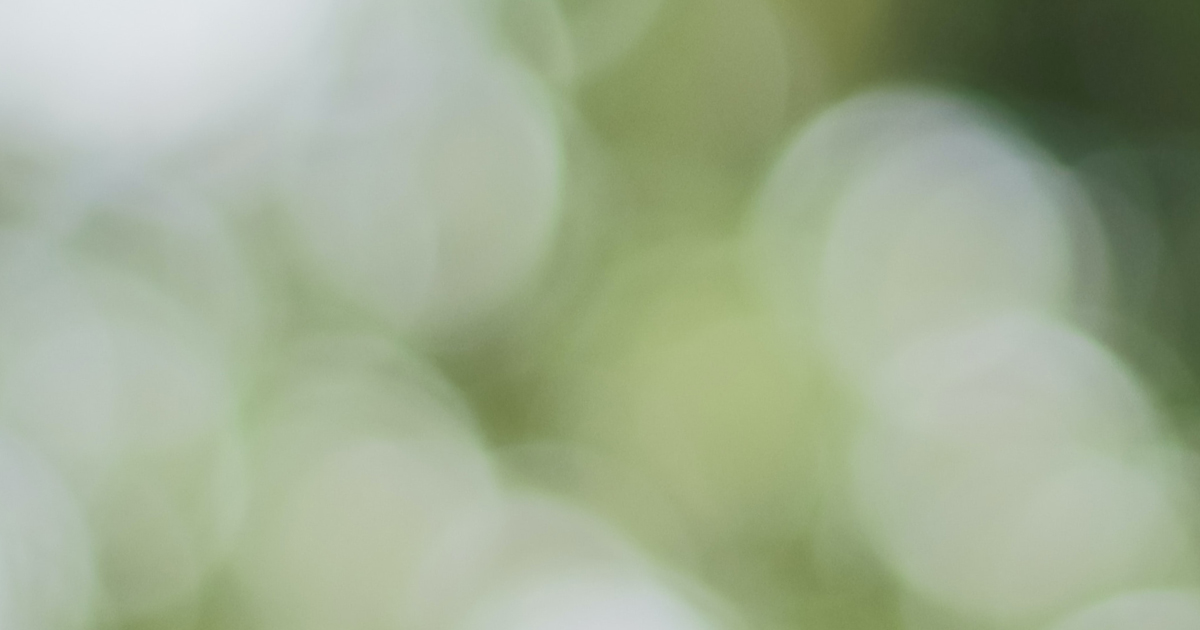 Forefront – Data & analytics