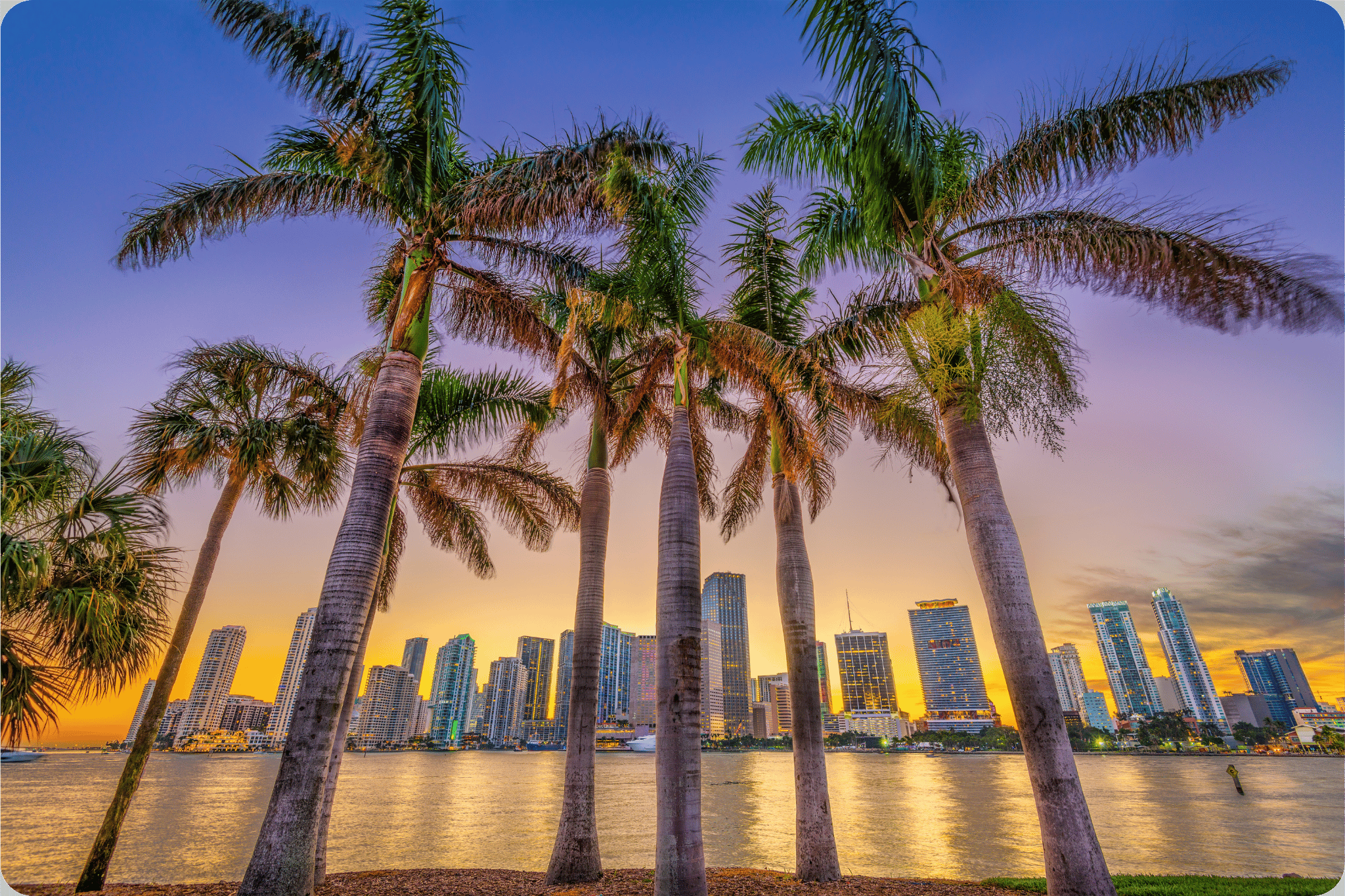 Miami Family Vacation Ideas: Ultimate Guide to Fun Adventures