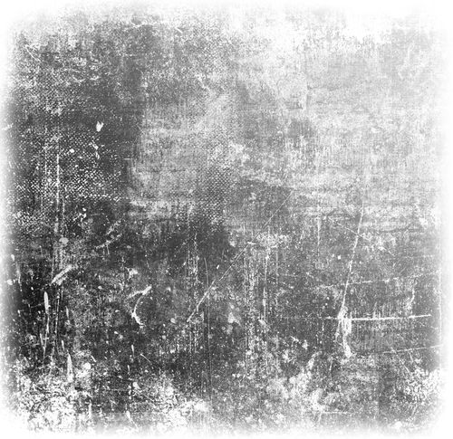 The Land Ethic® | Finding Community with Earth | Aldo Leopold