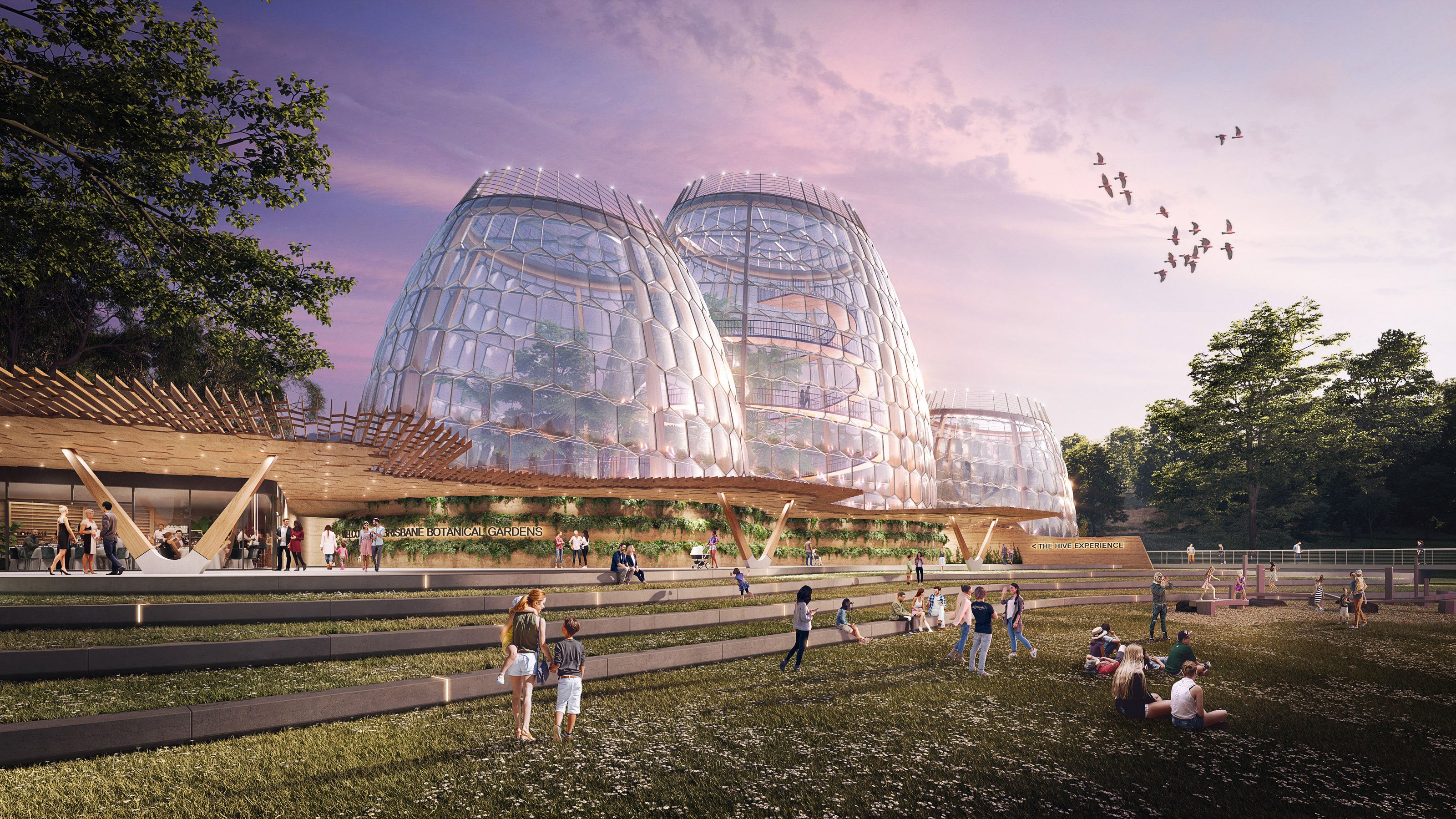 Archipelago's Project | Mt Coot-tha Tropical Dome