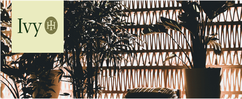 Home [www.ivyhospitality.com]