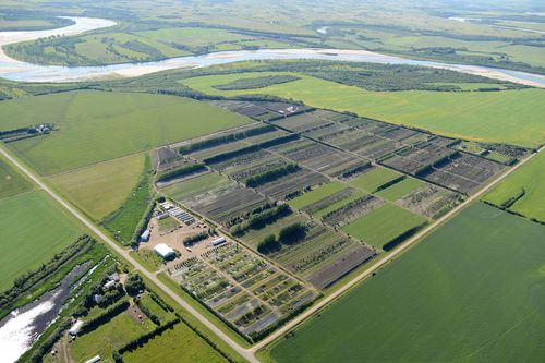 Lakeshore Tree Farms | Providing the Wholesale Market