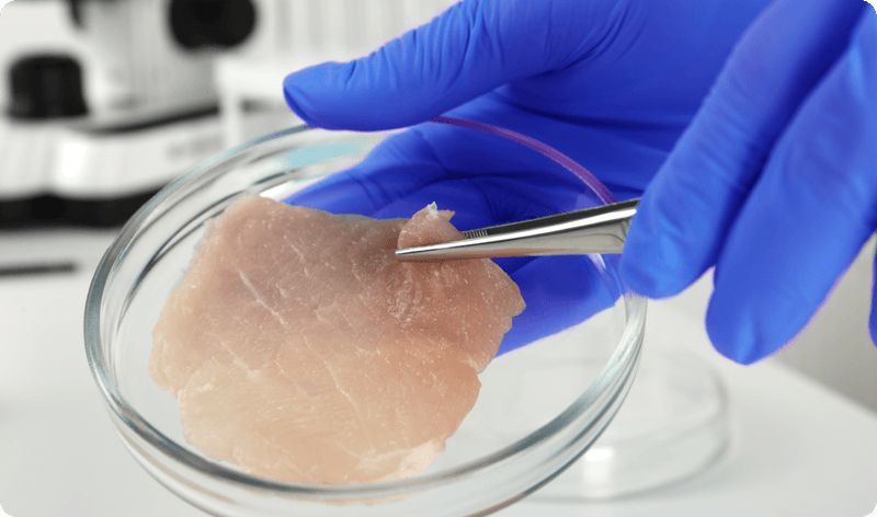 Cell Banking | CellPort