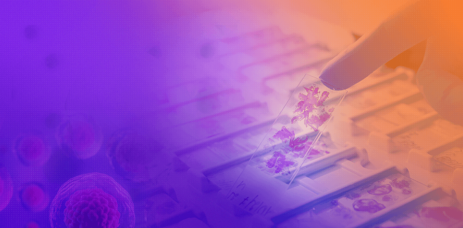 Cell Banking | CellPort