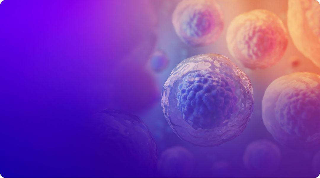 Cell Banking | CellPort