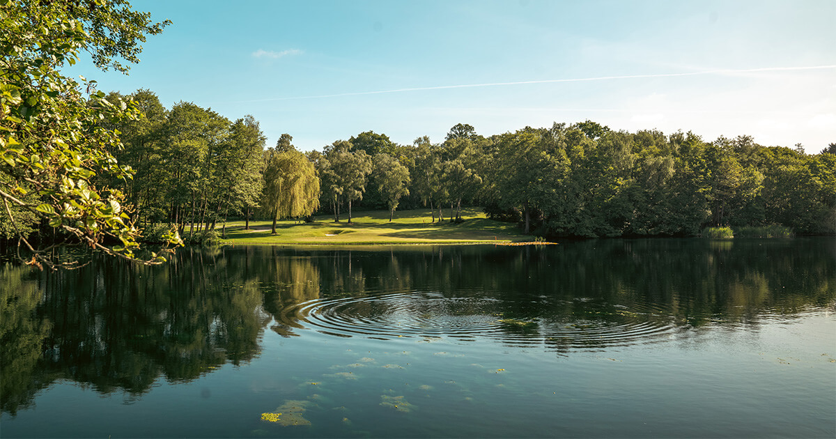 Silvermere Golf & Leisure | Surrey Golf Club & Driving Range