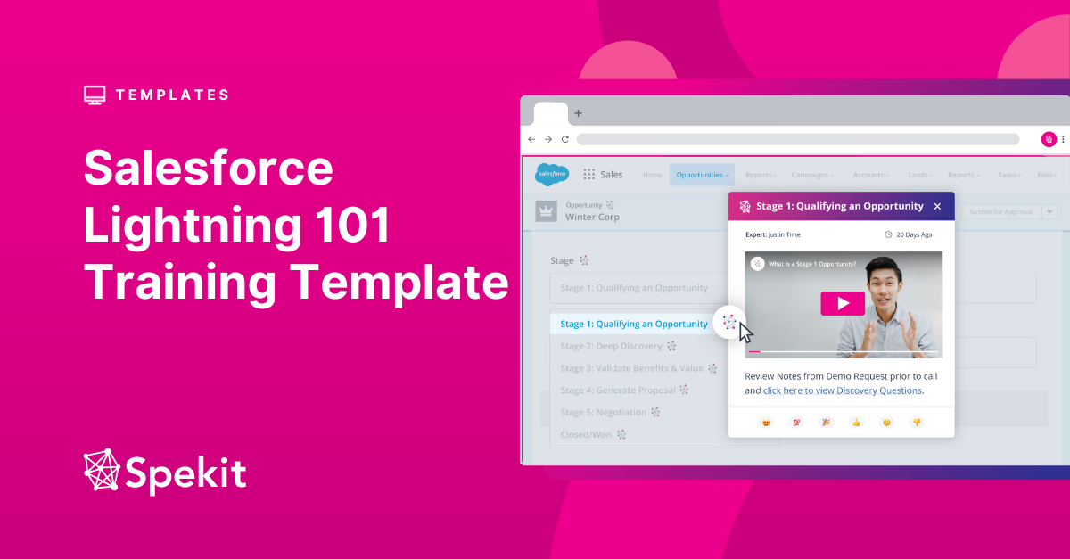 Salesforce Lighting List Views