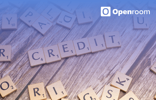 How to Run a Tenant Credit Check in Canada: A Guide for Landlords