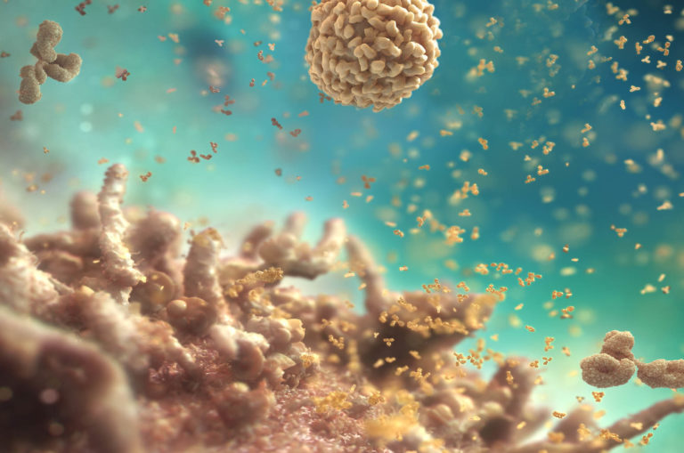 3D Medical Animation, Forensic Visualization, & Interactive Healthcare ...