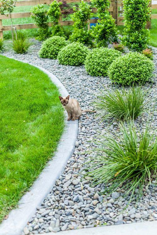 Landscaping Hamilton | Master Landscapers Waikato | Groundcover Landscaping