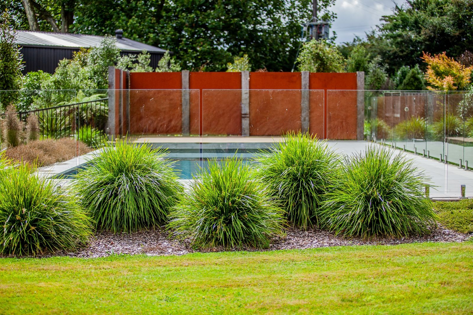Landscaping Hamilton | Master Landscapers Waikato | Groundcover Landscaping