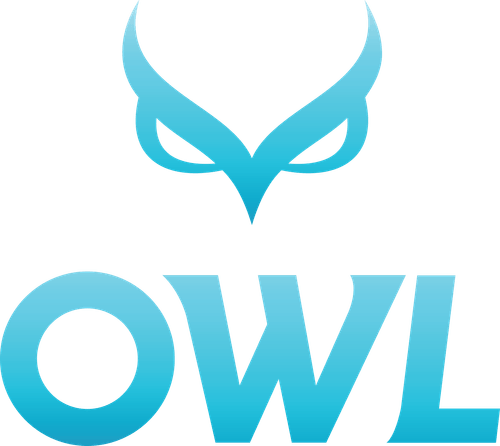 OWL Sport | Innovative & High-performance Pickleball Paddles