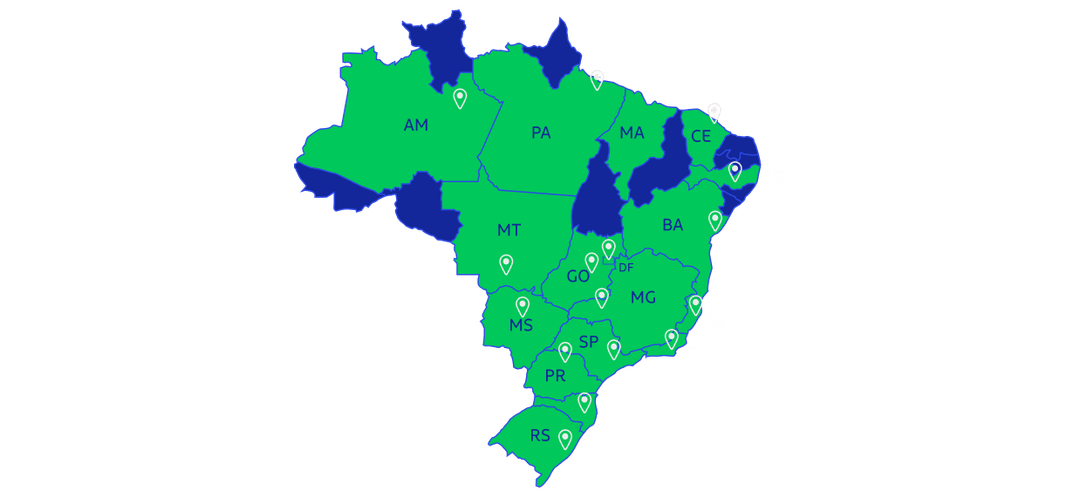 Suzano Around the World | Discover Our Global Presence