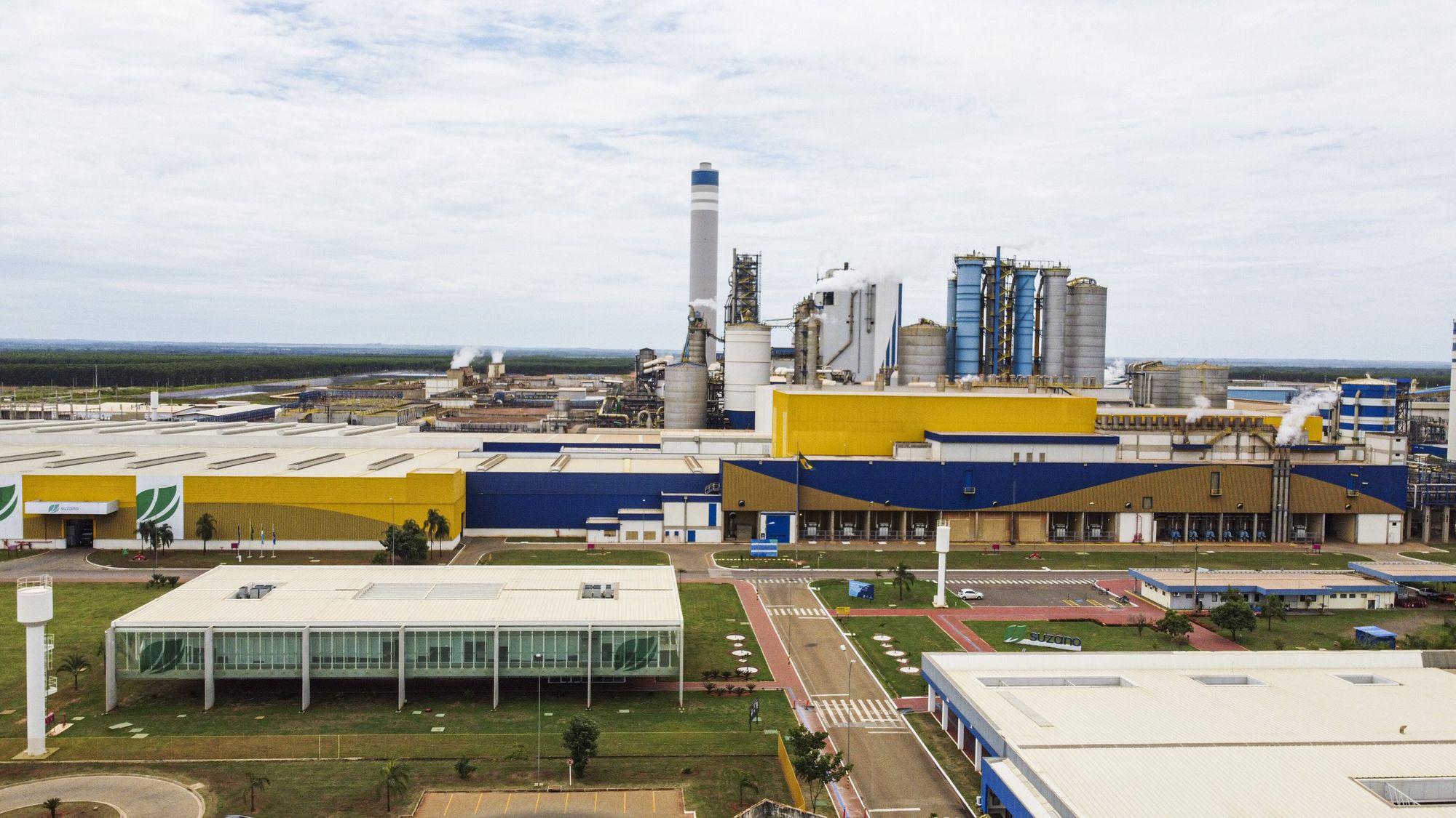Suzano tem vagas de emprego no Mato Grosso do Sul