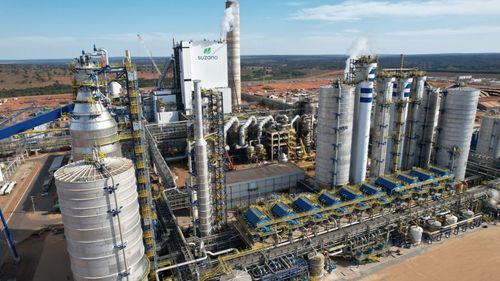 Suzano abre cinco vagas nas áreas florestal, industrial e de manutenção ...