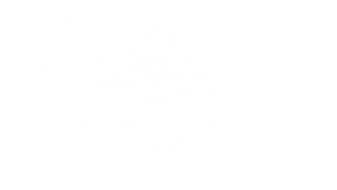 Razorpay Rize: Join the Best Startup Incubator Program