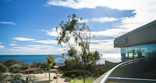 Procore Appoints Ajei Gopal as New CEO, Founder Courtemanche Becomes ...