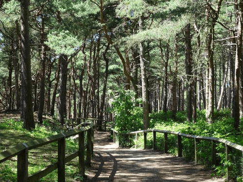 Static Caravans and Tourers | Southport | Willowbank