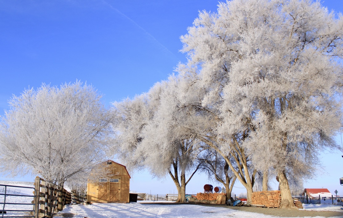 Sunny 57 Ranch