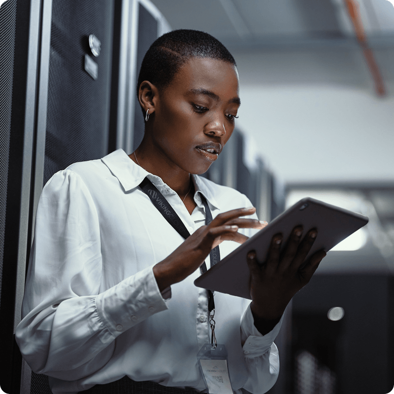 Endpoint Security Solutions | VikingCloud