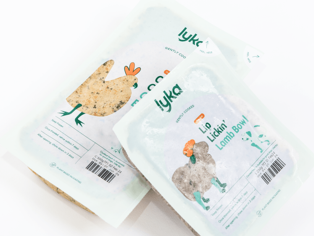 Grounded Packaging | Sustainable Eco Packaging