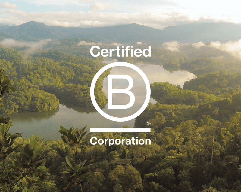 Grounded Packaging | Composting & Compostable Packaging: An Overview