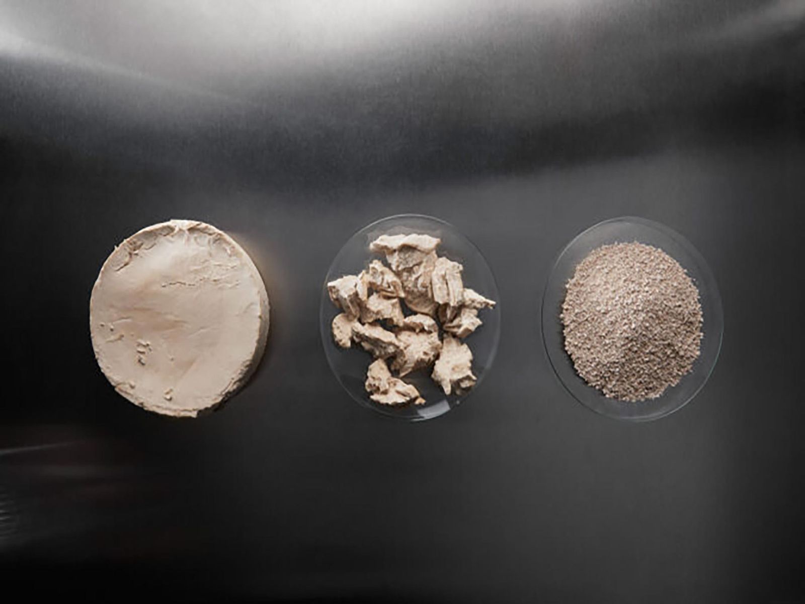Enifer’s pioneering mycoprotein plant to begin production in 2026 ...