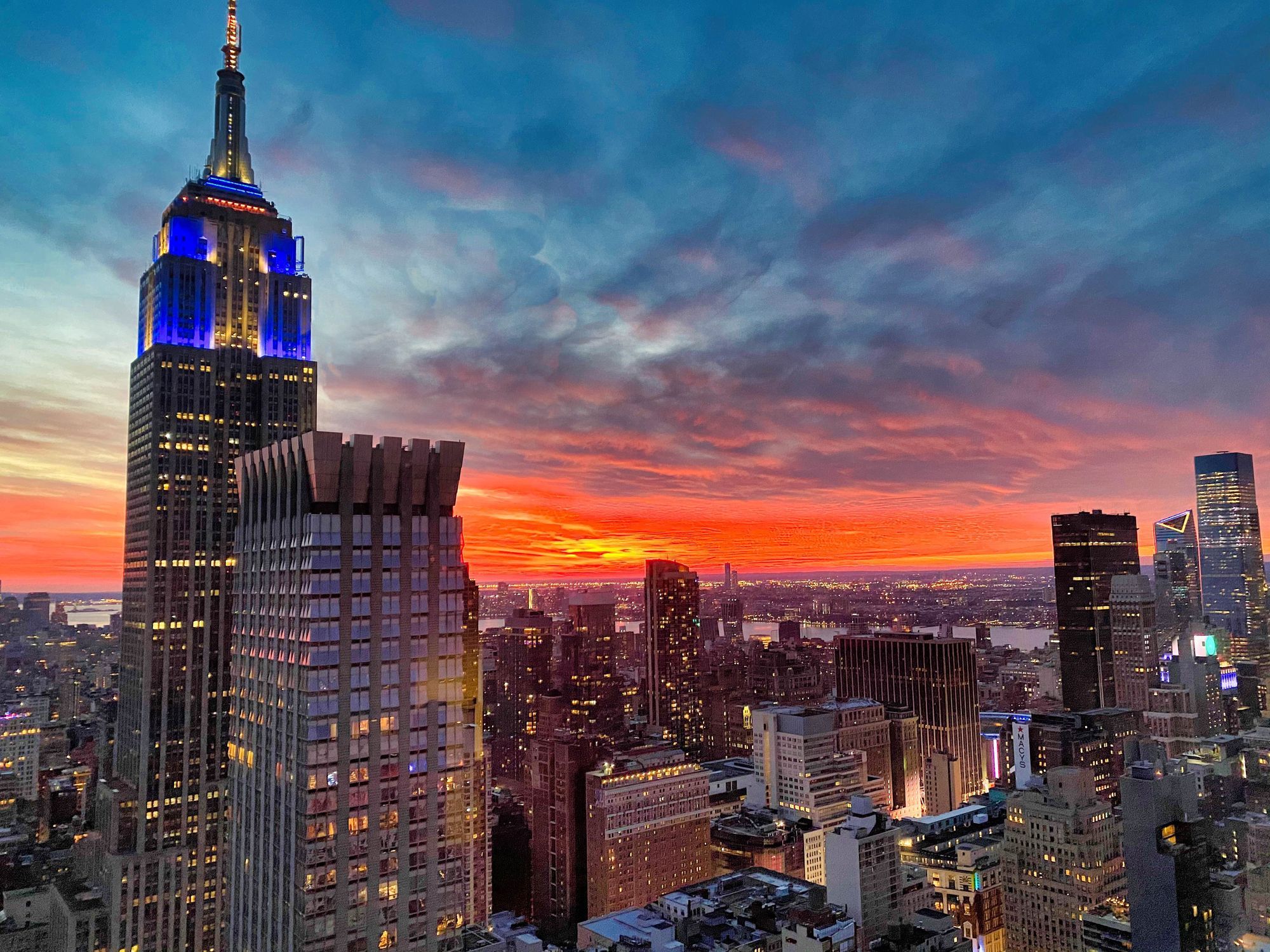 Home [www.birddivert.com]