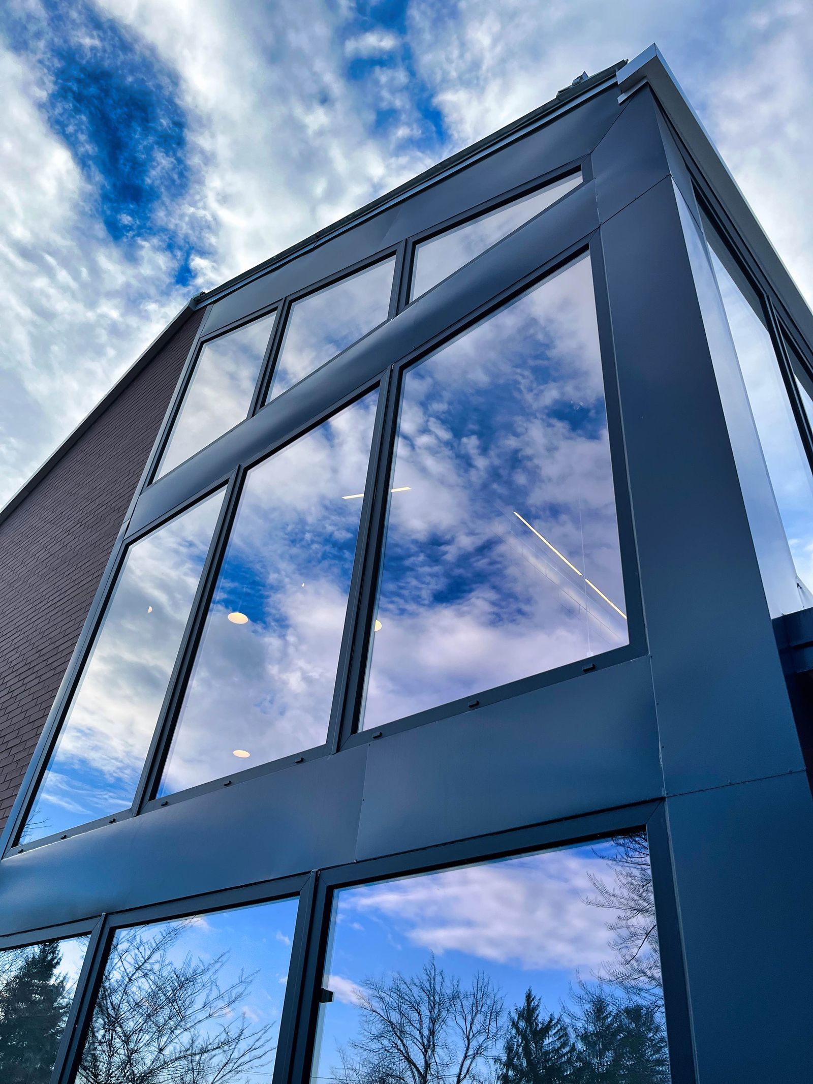 Home [www.birddivert.com]