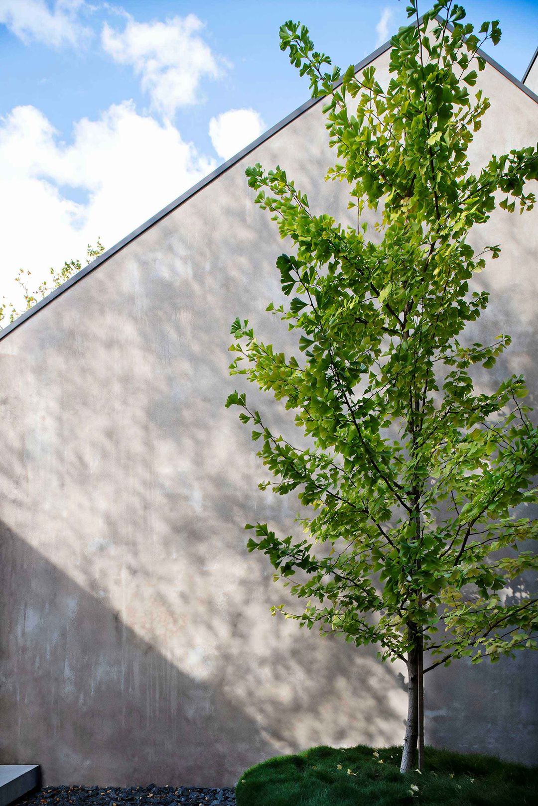 Deepdene | Formation Design Landscapes Pools