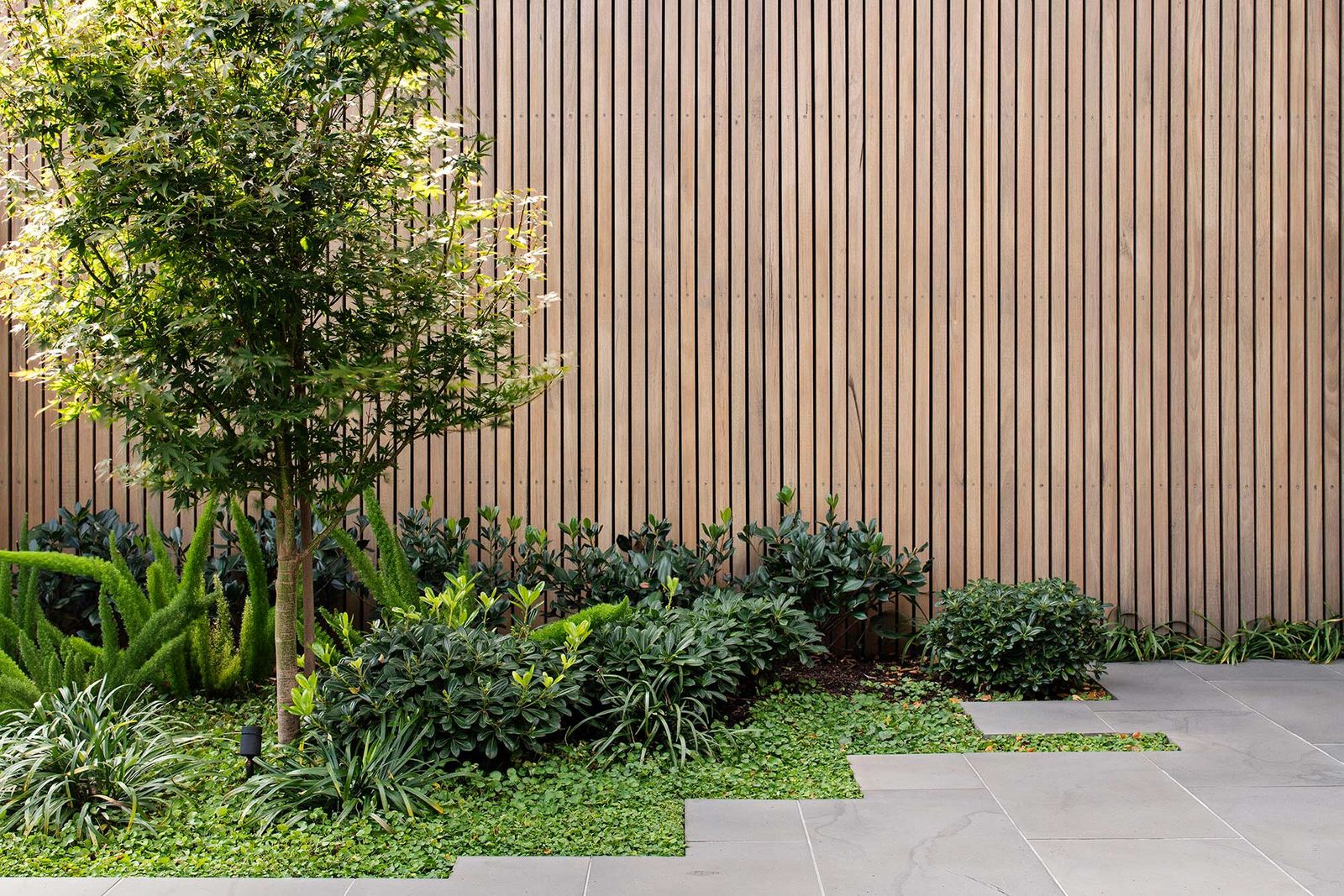 Deepdene | Formation Design Landscapes Pools