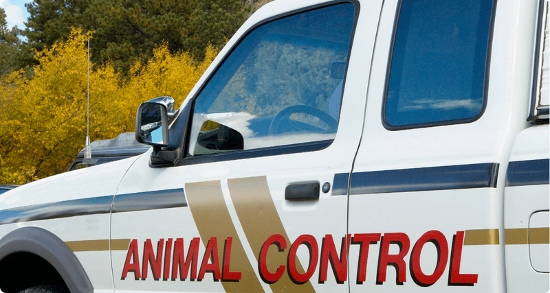 Animal Services