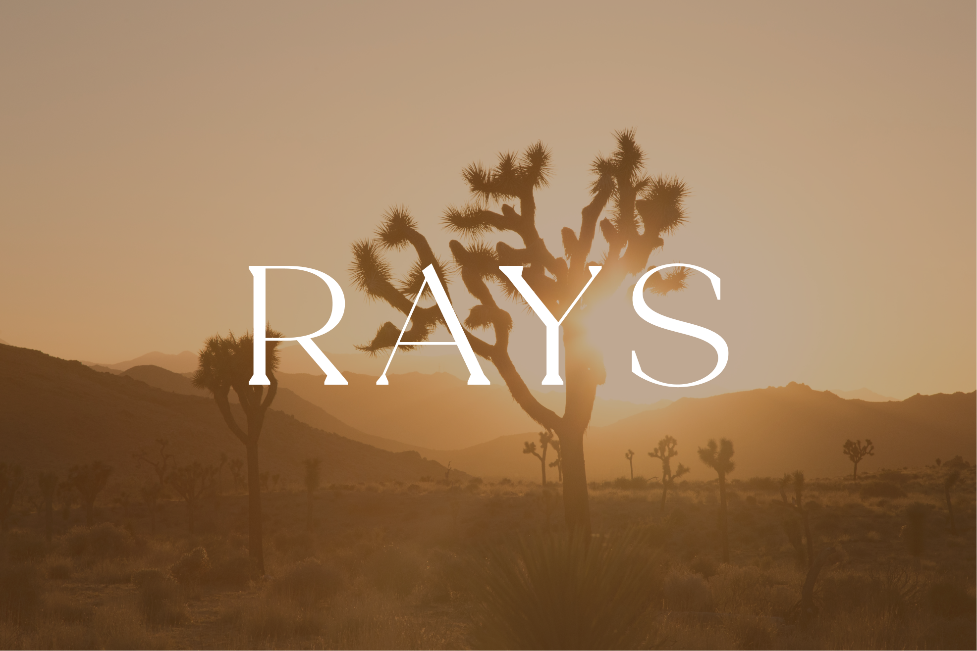 Get in Touch with Rays Wellness Dispensary Australia | Contact Us