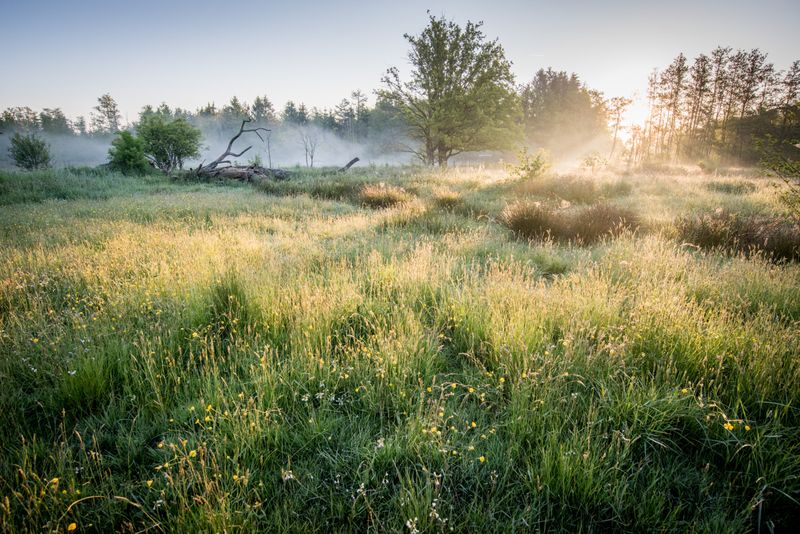 Home | Small Giants Academy