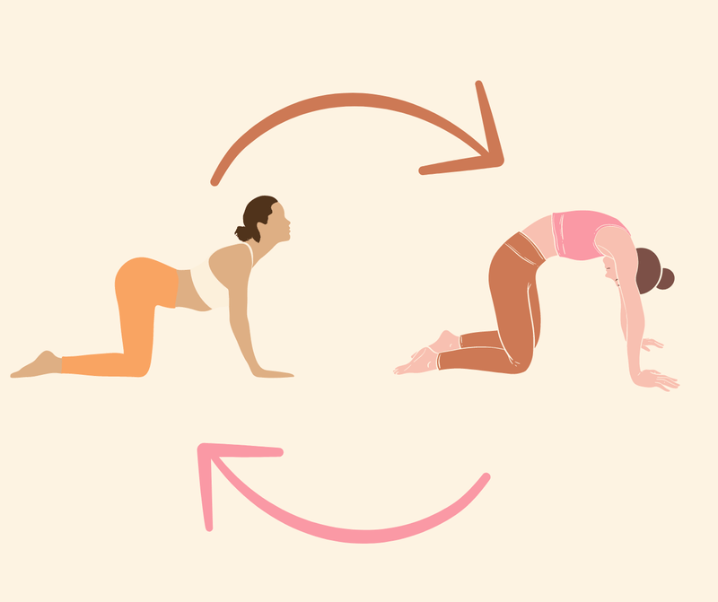 How to do the Cat-Cow Pose?